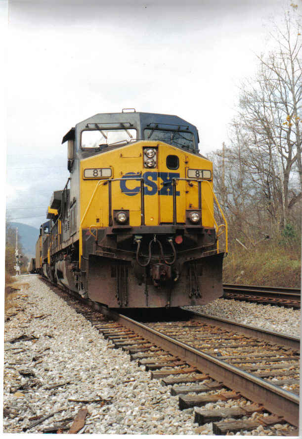 I'm bigger then you are!